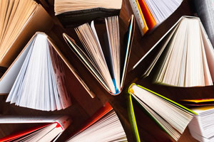 Каталог товаров Ozon с ценами на июль 2025 - Magazinnoff.ru